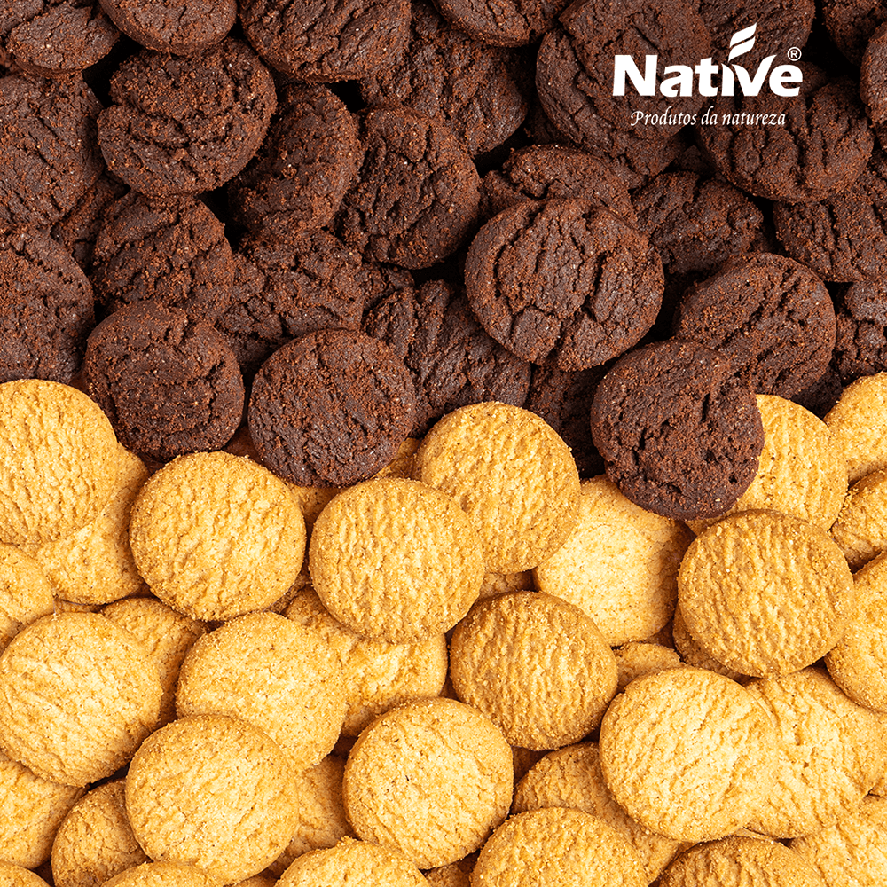 MINI COOKIE ORG CHOCOLATE 30X40G - t09318